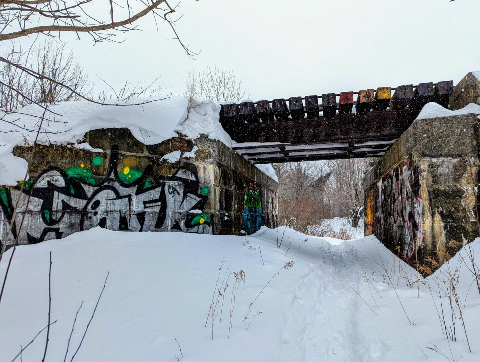 Snowshoeing for beginners: 10 essential tips guide - The Outdoor Sidekick