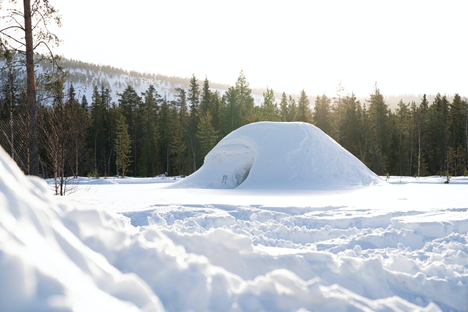 The Art of Survival: Constructing a Snow Cave for Shelter and Warmth in ...