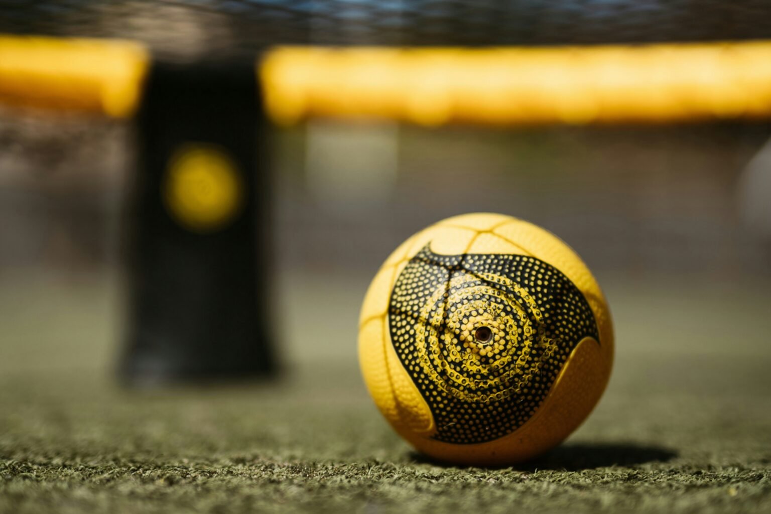 Spikeball: The Ultimate Guide for Outdoor Enthusiasts - The Outdoor ...